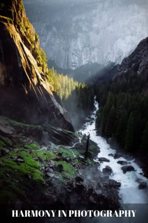 What Are The Elements and Principles of Photography? - Pixobo ...