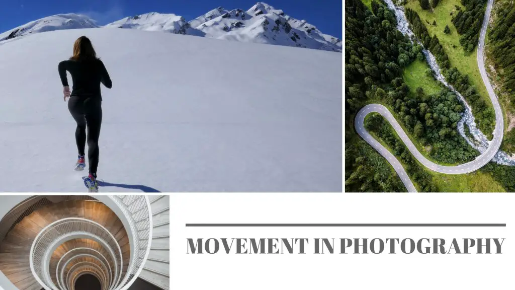 What Are The Elements and Principles of Photography? - Pixobo ...