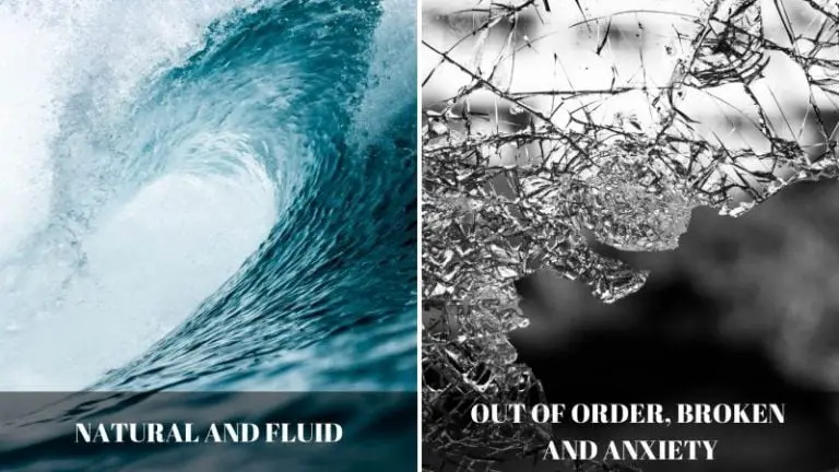 What Are The Elements and Principles of Photography? - Pixobo ...