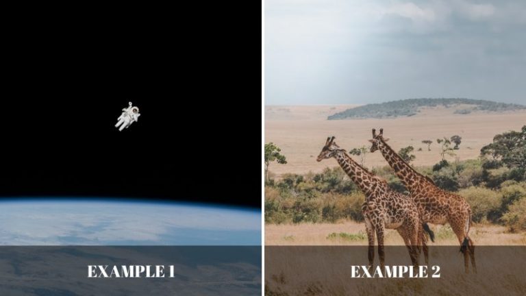 What Are The Elements and Principles of Photography? - Pixobo ...