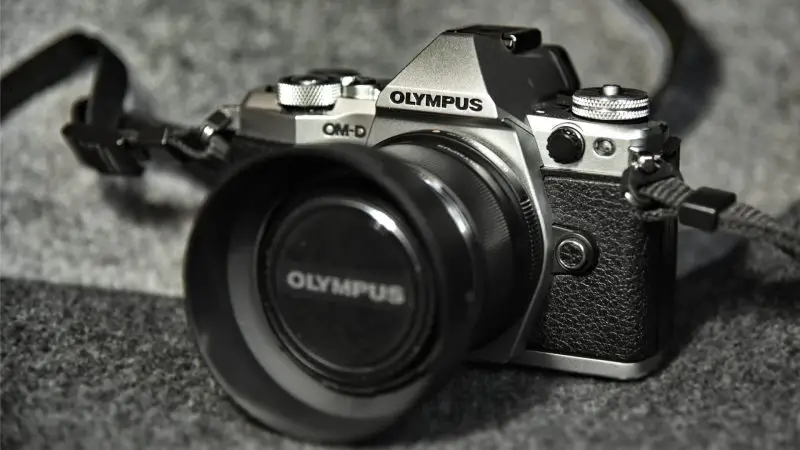 Best Entry-Level Mirrorless Cameras in 2021 - Pixobo - Profitable Photography