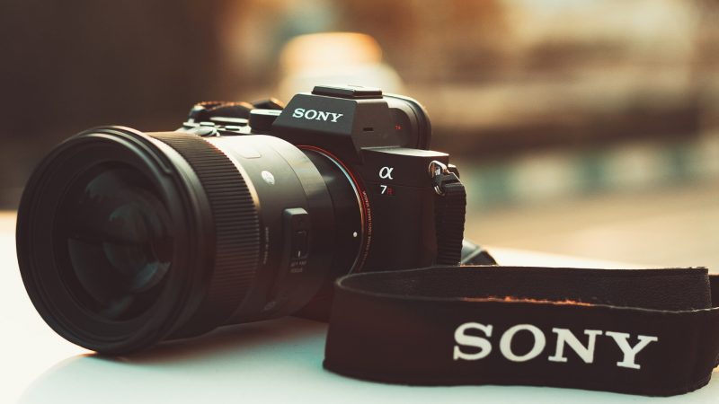 Best Professional Mirrorless Cameras in 2021 - Pixobo - Profitable ...
