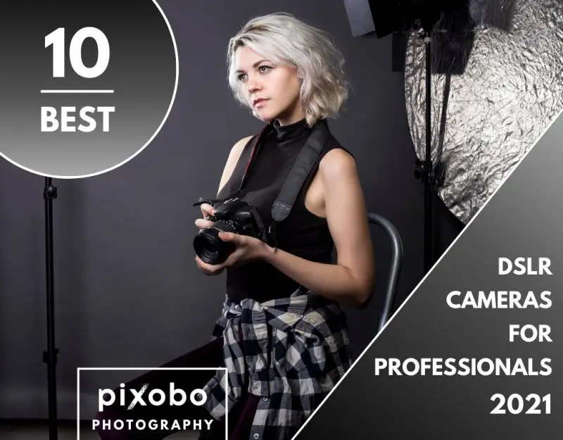 Best Professional DSLR Cameras in 2021 - Pixobo - Profitable Photography Best Professional DSLR Cameras in 2021 - Pixobo - Profitable Photography