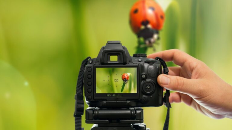 Best Lenses for Canon DSLR Cameras in 2024 – Pixobo – Profitable ...