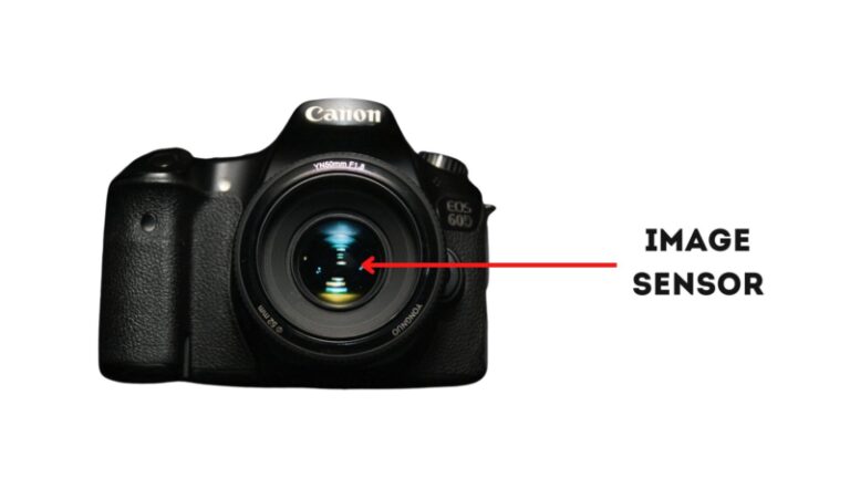 Basic Parts of a Camera | Simple Guide! – Pixobo – Profitable Photography