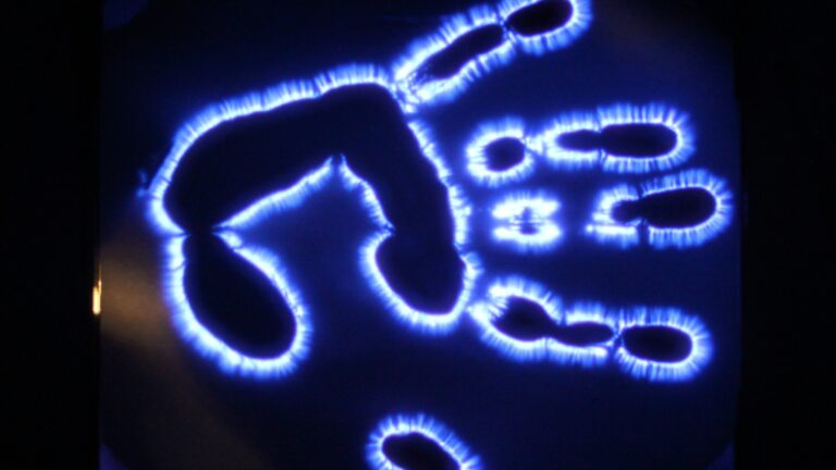 What Is Kirlian Photography? History, Examples and How-to – Pixobo ...